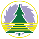 “Vlast Truda” Plywood Plant : Trade Representation of the Russian ...